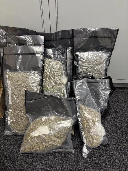 Over 100 pounds of illegal narcotics seized in Utah County drug bust