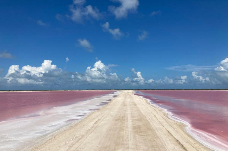 Las Coloradas Yucatán: por qué el agua de la laguna es rosa