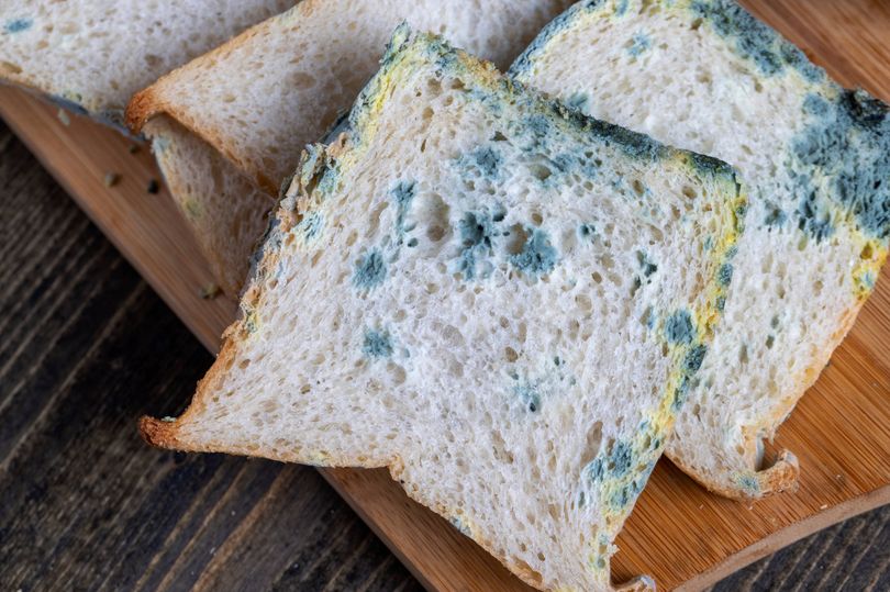 I asked experts if it's safe to eat mouldy bread - their advice made my ...