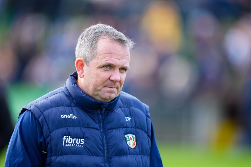 Davy Fitzgerald addresses dramatic departure after season to forget