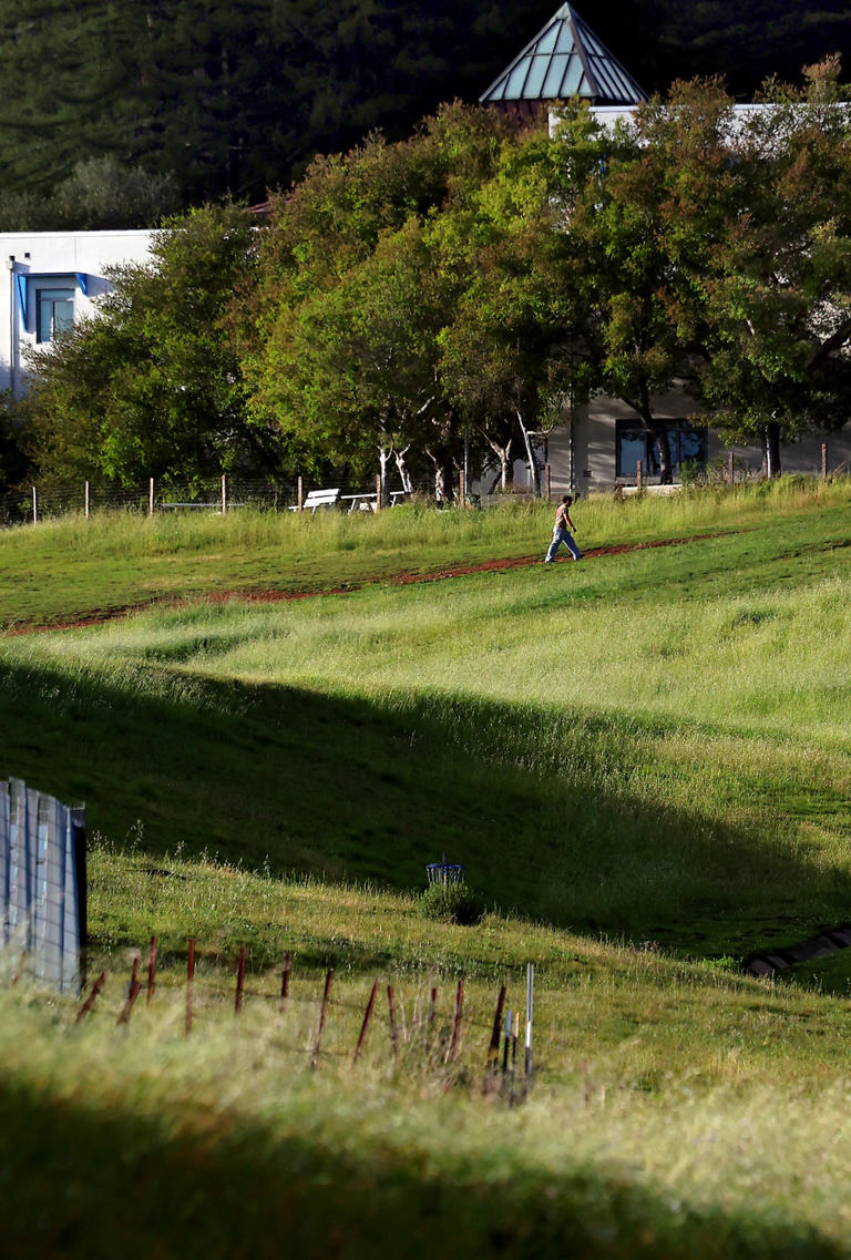 Photo | Over the hill on the UC Santa Cruz campus
