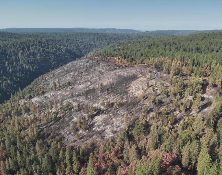 Pine Grove man arrested on suspicion of starting 118-acre Tiger Fire