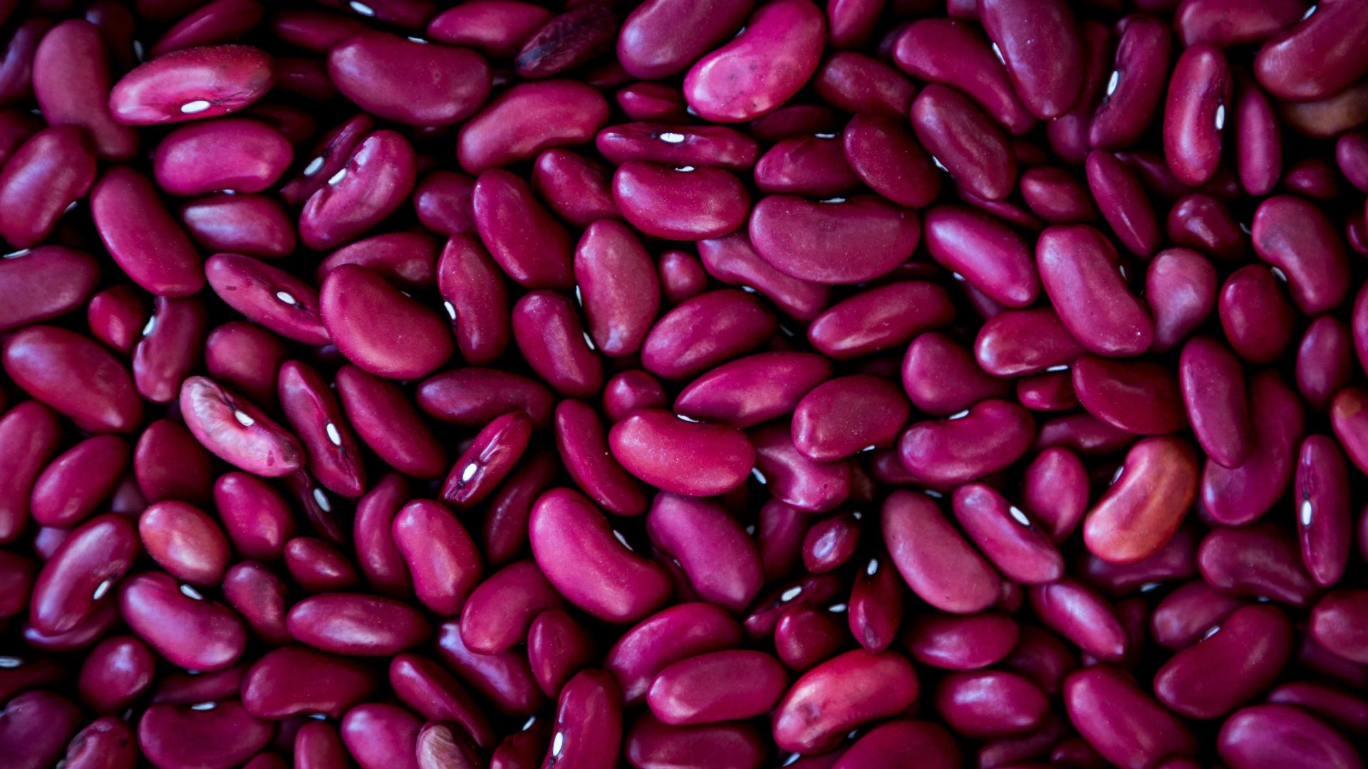 20 poisonous foods humans have somehow developed a tolerance to