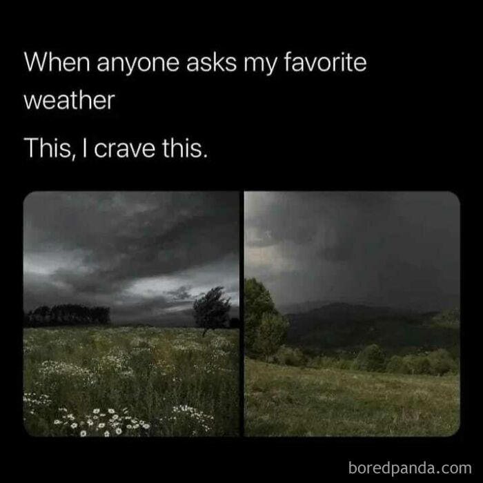 I see my demons: 49 memes that are as funny as they are unhinged