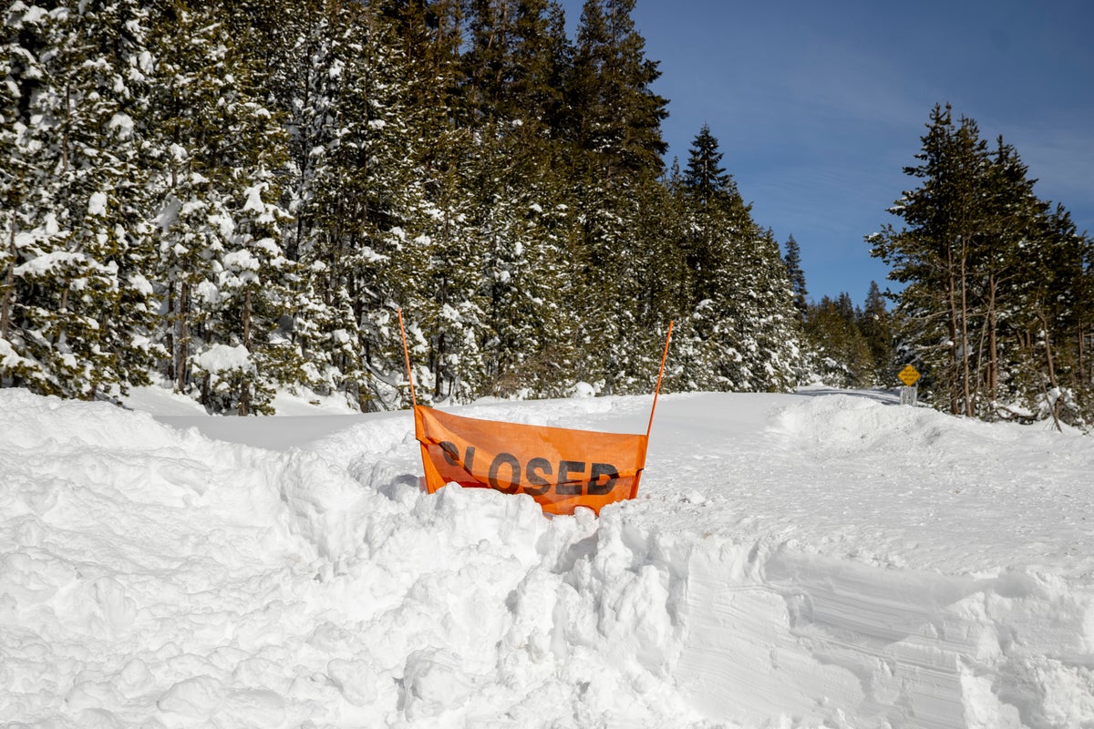 All 9 bodies recovered in rescue operation after California avalanche