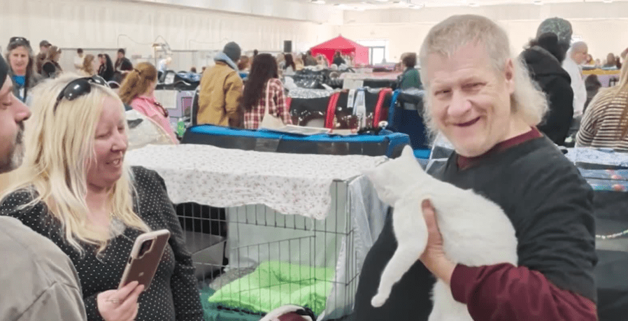 Fancy cats: Show highlights kitten cuteness in York County