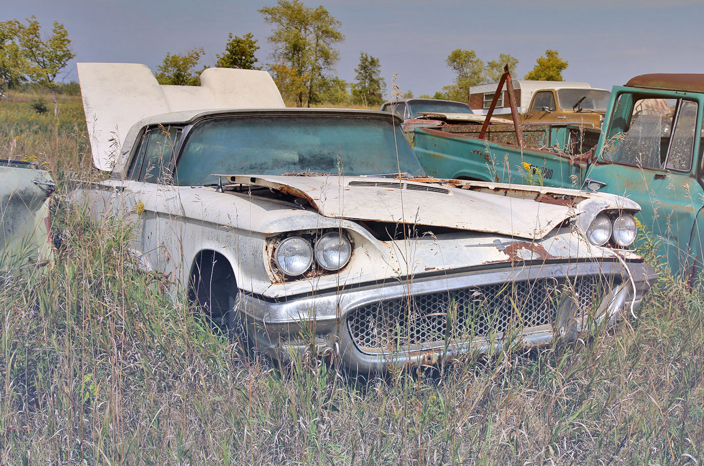 Junkyard-Entdeckungen von Windy Hill Autoteile in New London, Minnesota