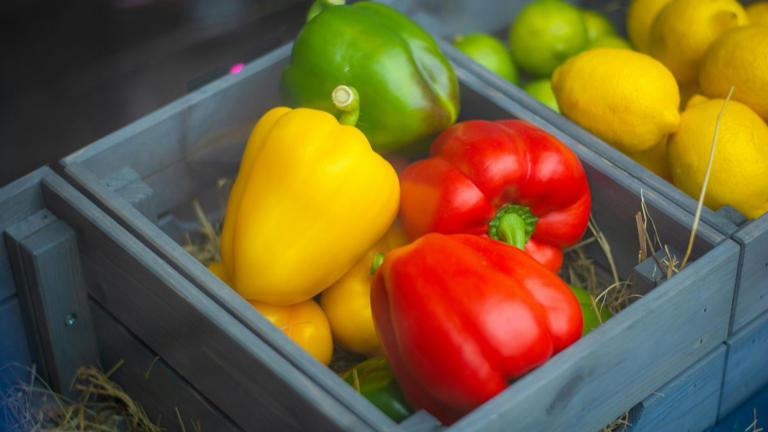 Which country is the largest producer of bell pepper in the world?