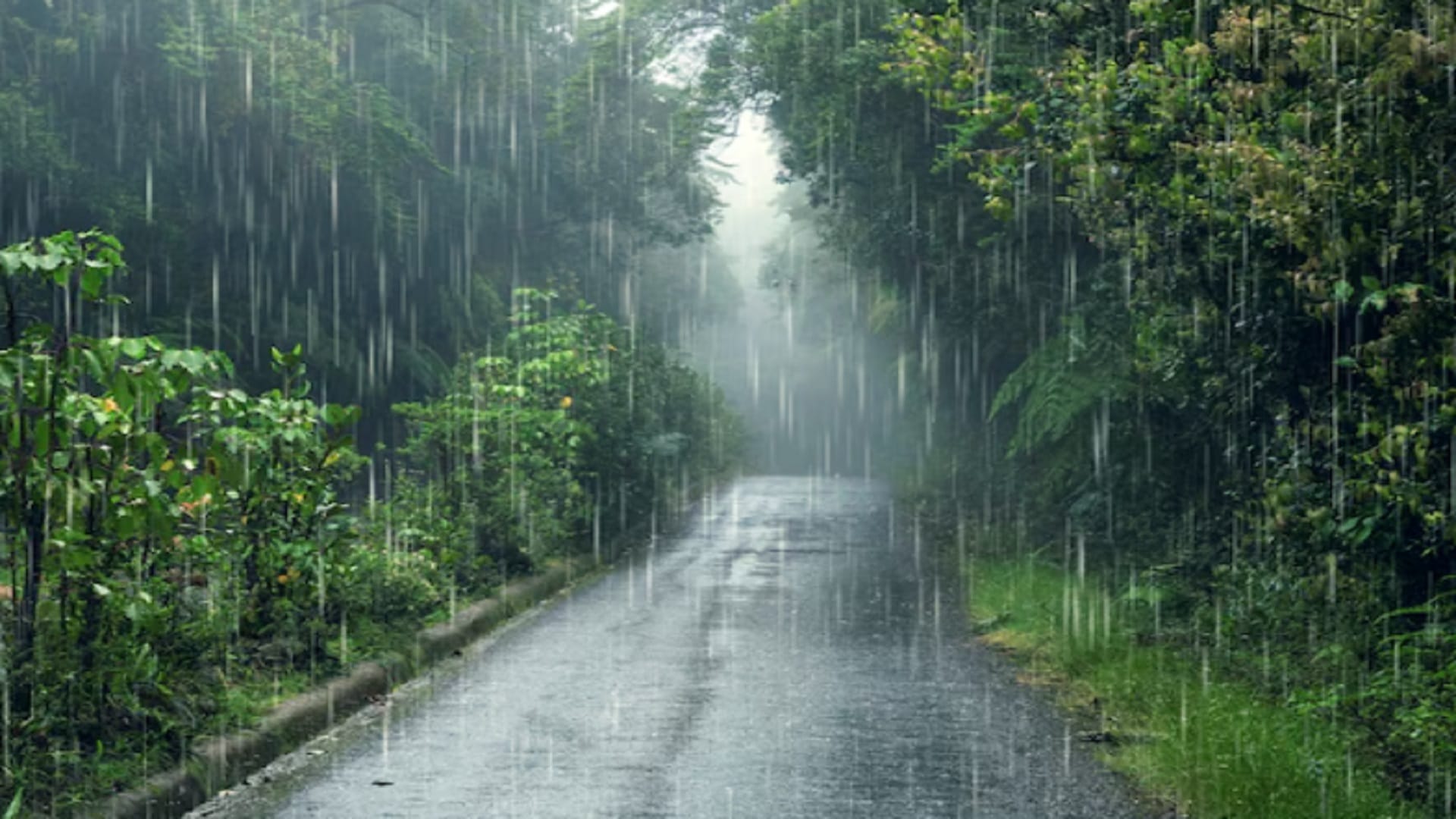 IMD forecasts light rain in south Bengal after long dry spell; read here