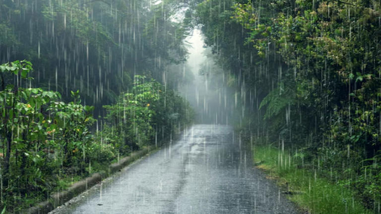 IMD forecasts light rain in south Bengal after long dry spell; read here