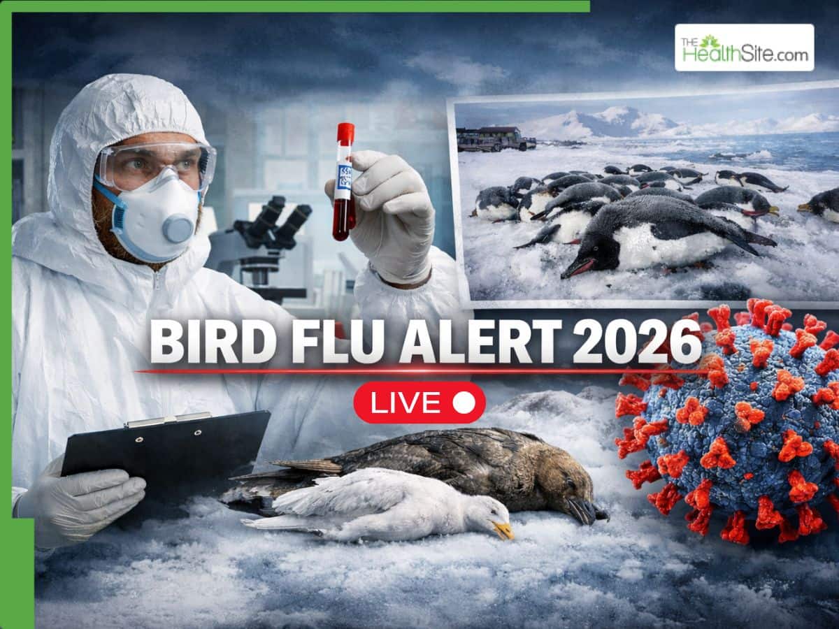 Bird flu alert 2026 live updates: Deadly new H5N1 virus strain capable ...