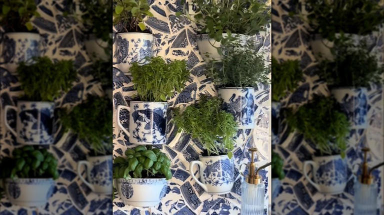 Turn secondhand plates and coffee mugs into an adorable kitchen herb garden