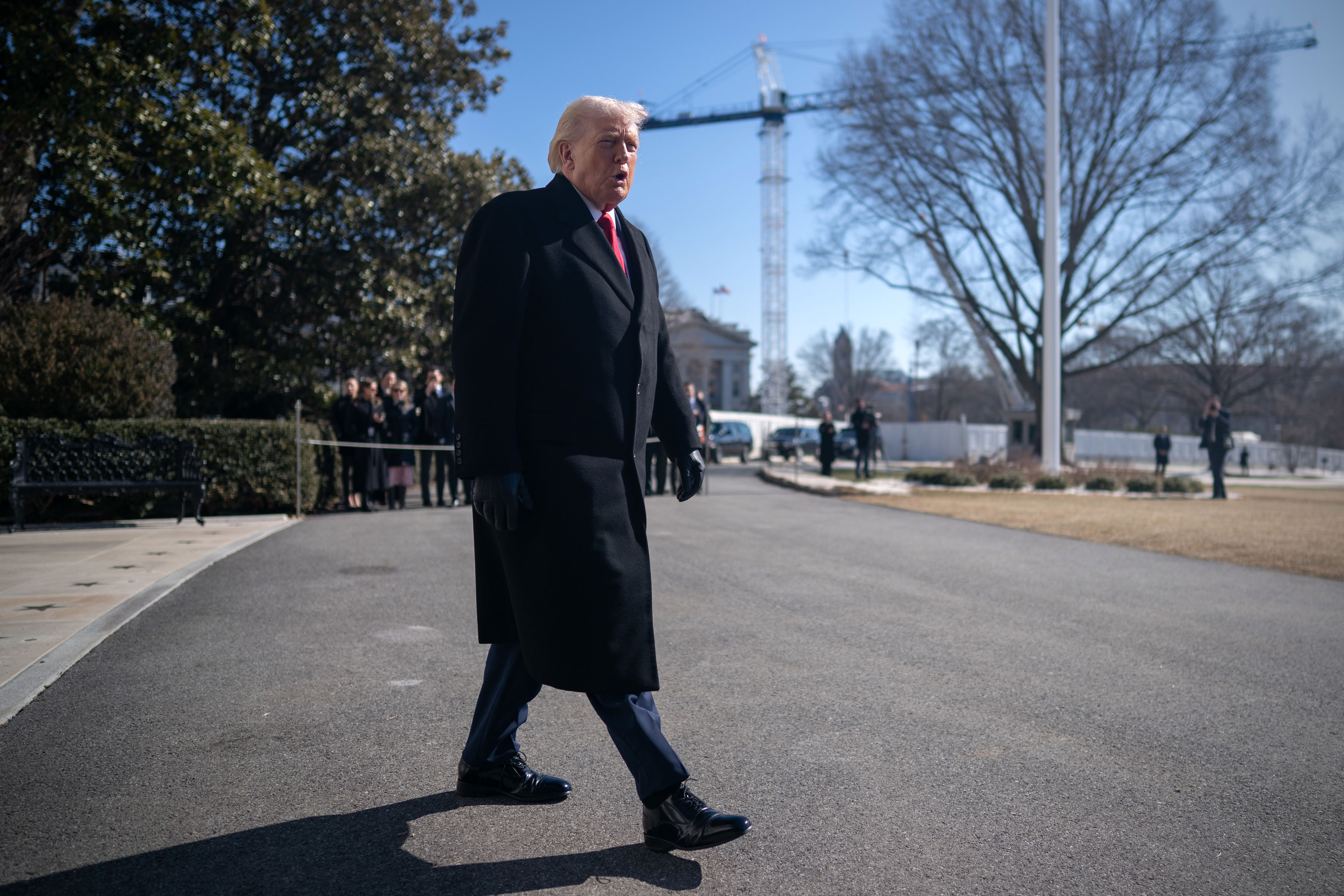 Supreme Court put the brakes on Trump after Congress helped him step on ...