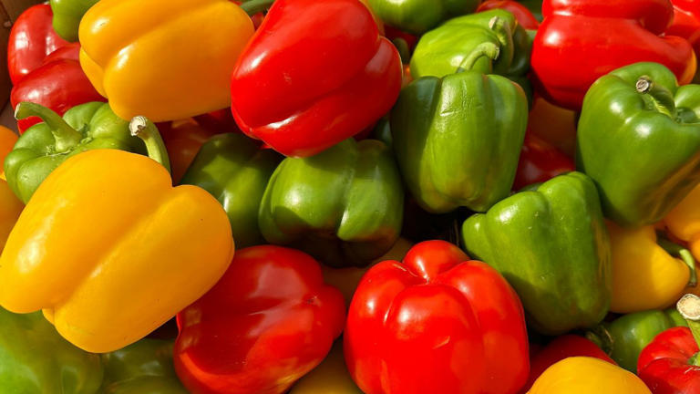Which country is the largest producer of bell pepper in the world?