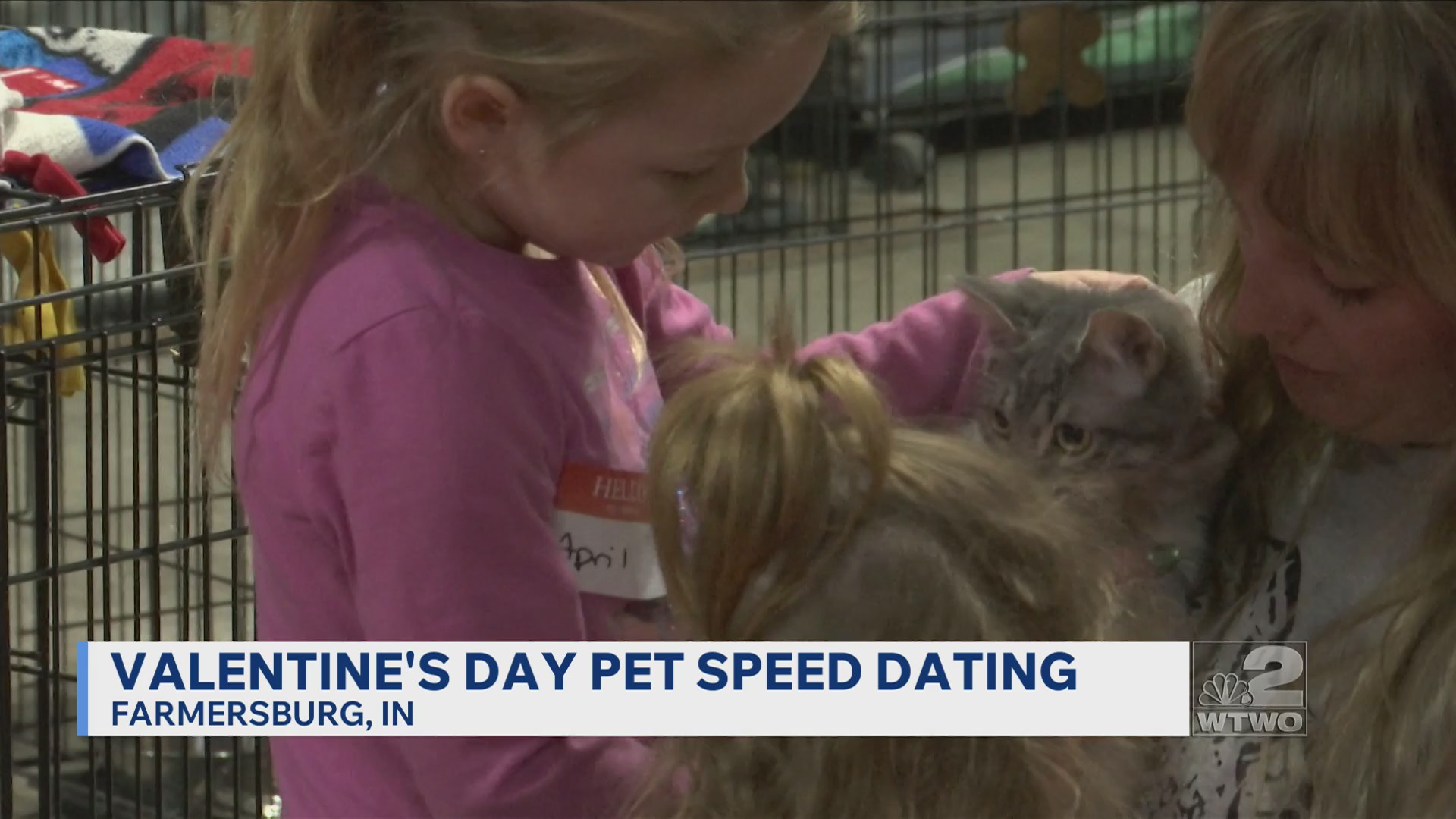 Valentine's Day pet speed dating