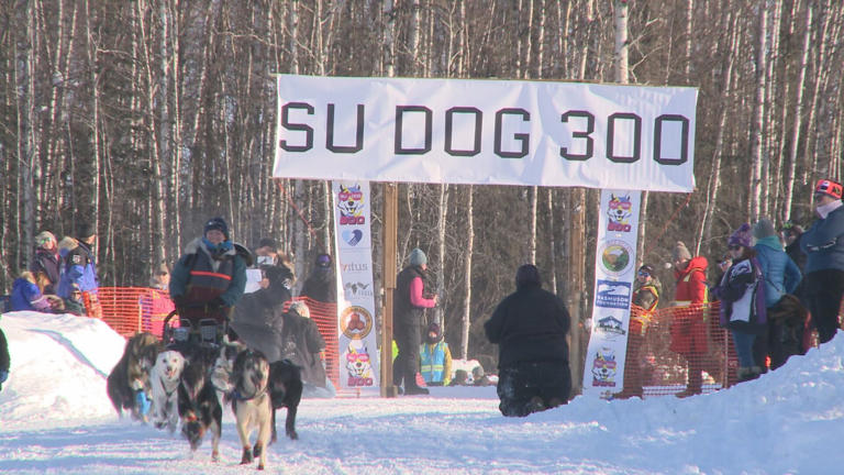 Su Dog 300 brings sled dog race back to rich mushing community of Willow