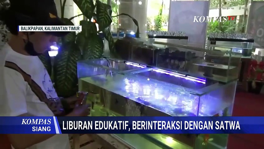 Cuma Rp10 ribu, Mini Zoo Plaza Balikpapan jadi wisata edukatif favorit ...