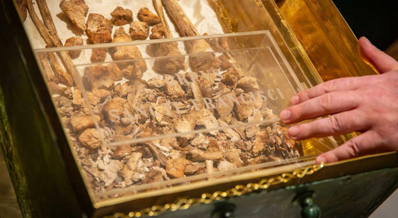 San Francesco, ecco l'ostensione delle sue reliquie: 500mila pellegrini ...