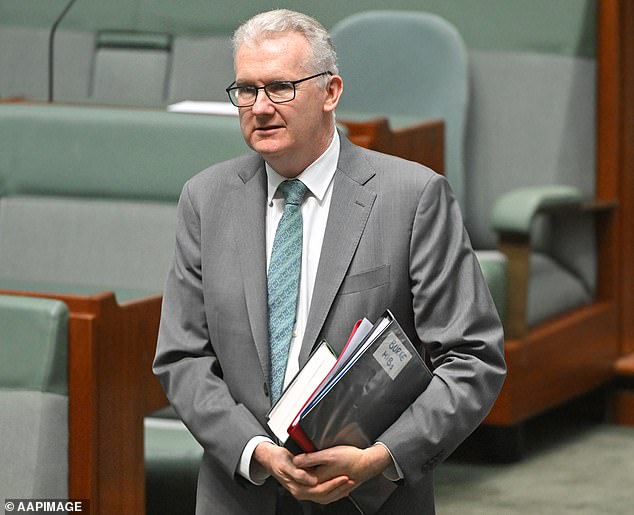 Opposition calls law change after Albanese government admits it can't ...