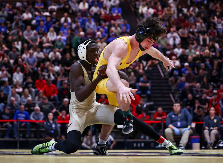 District 11 3A wrestling finals: Becahi’s Dillard brothers both win titles