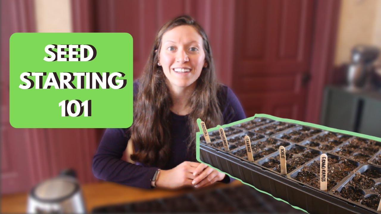 Starting seeds indoors: Container, light, and water tips