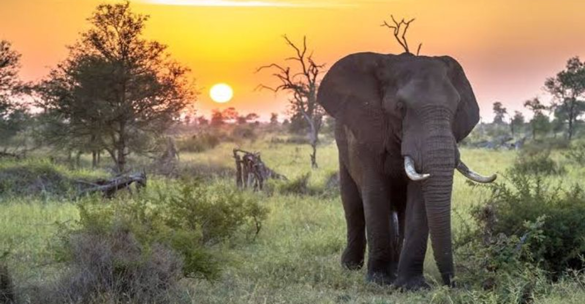 Your guide to 15 iconic national parks for first-time travelers