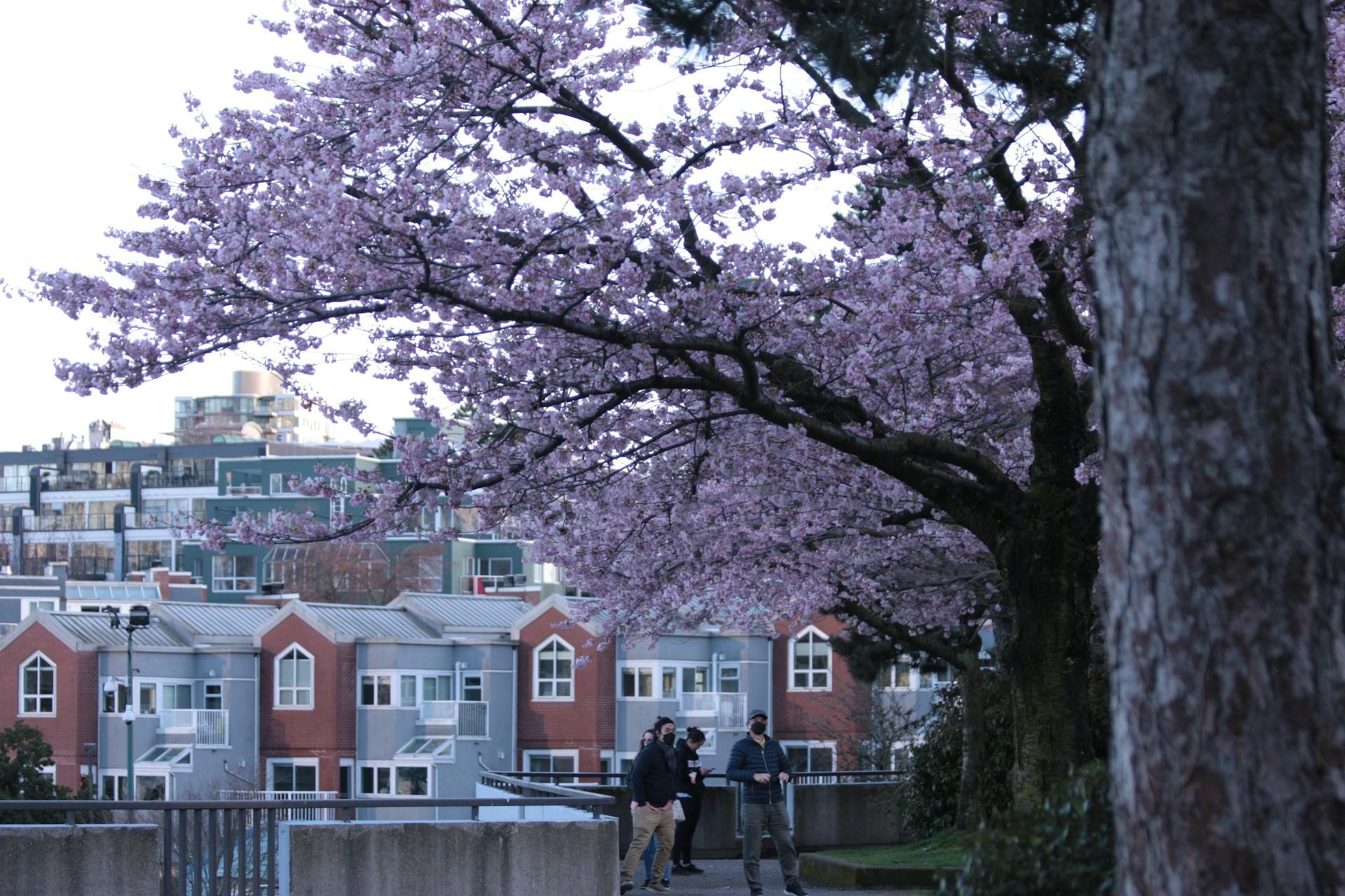 Vancouver has 10 iconic moments every local remembers having