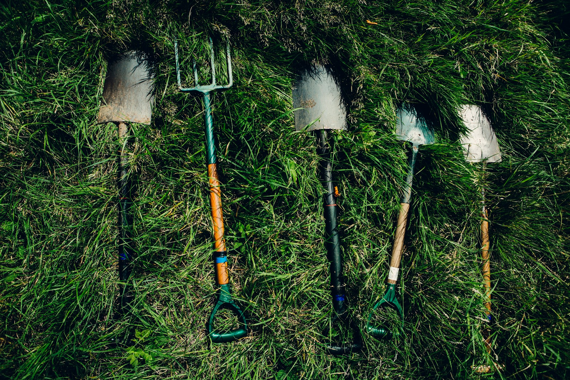 10 tools every gardener actually needs (ignore the rest)