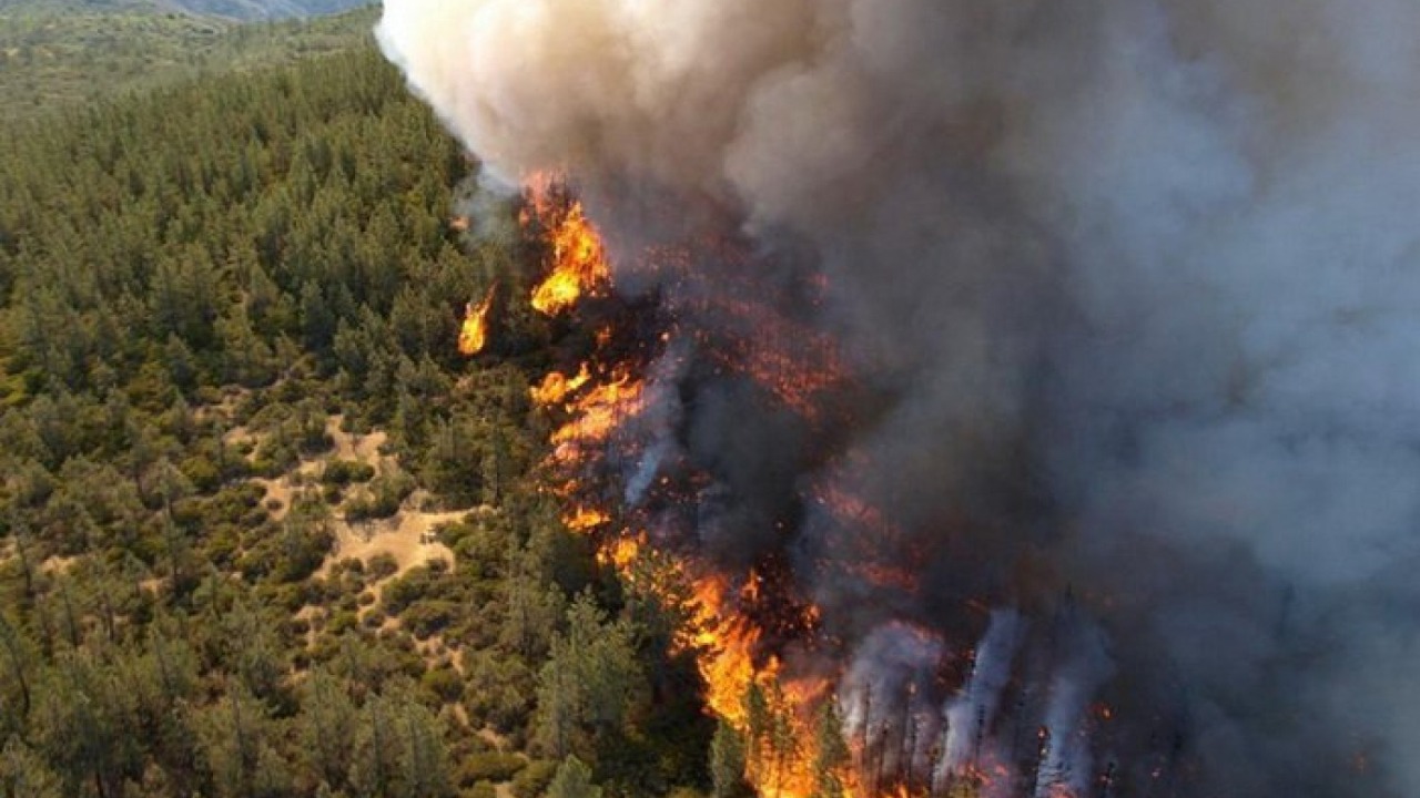 Florida on edge as brutal drought sparks explosive wildfire risk