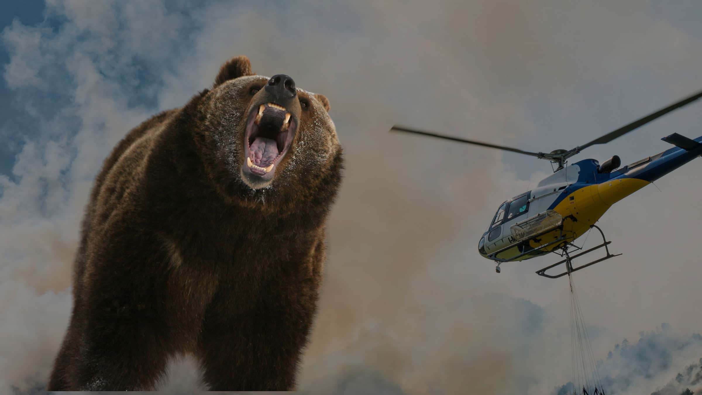 More than 5,000 grizzlies still roam wild in this state