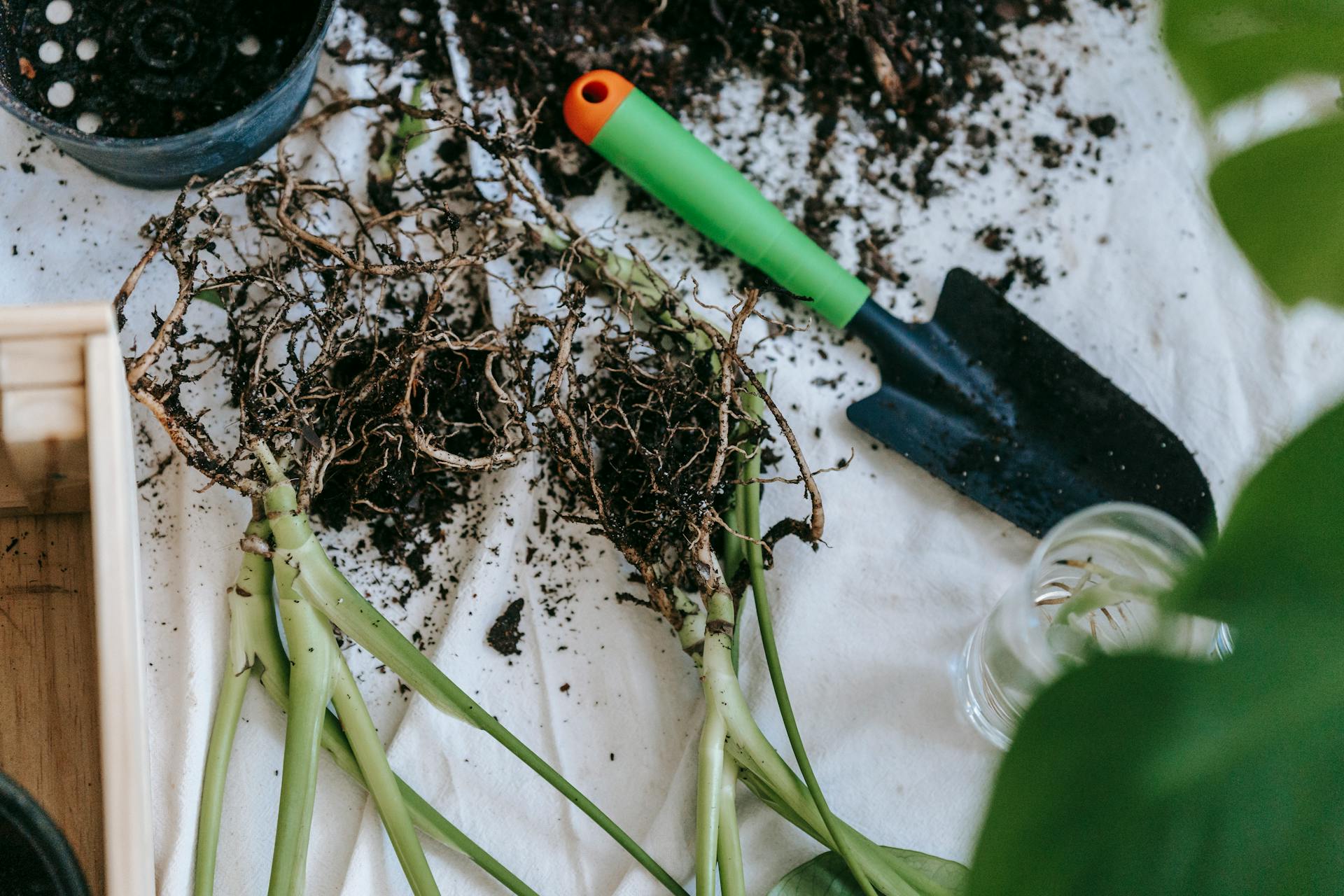 10 tools every gardener actually needs (ignore the rest)