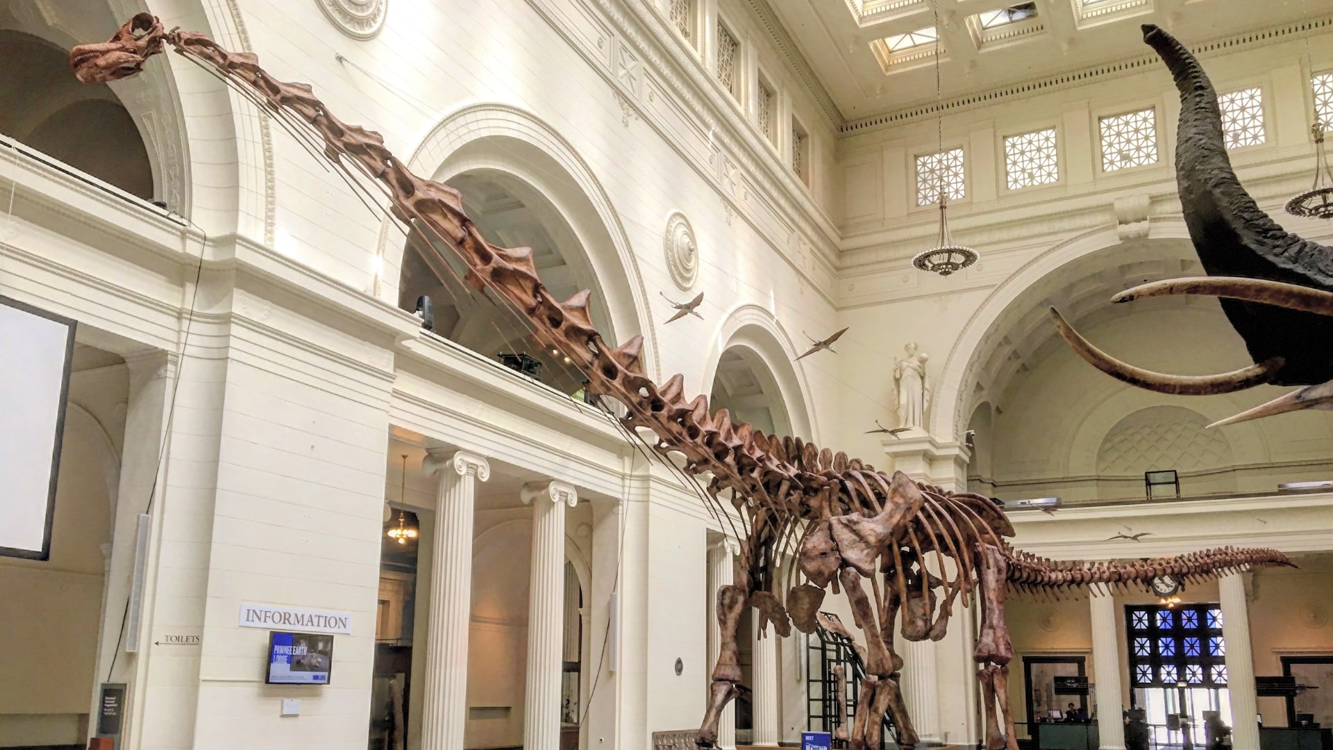 20 enormous dinosaurs that once ruled Earth