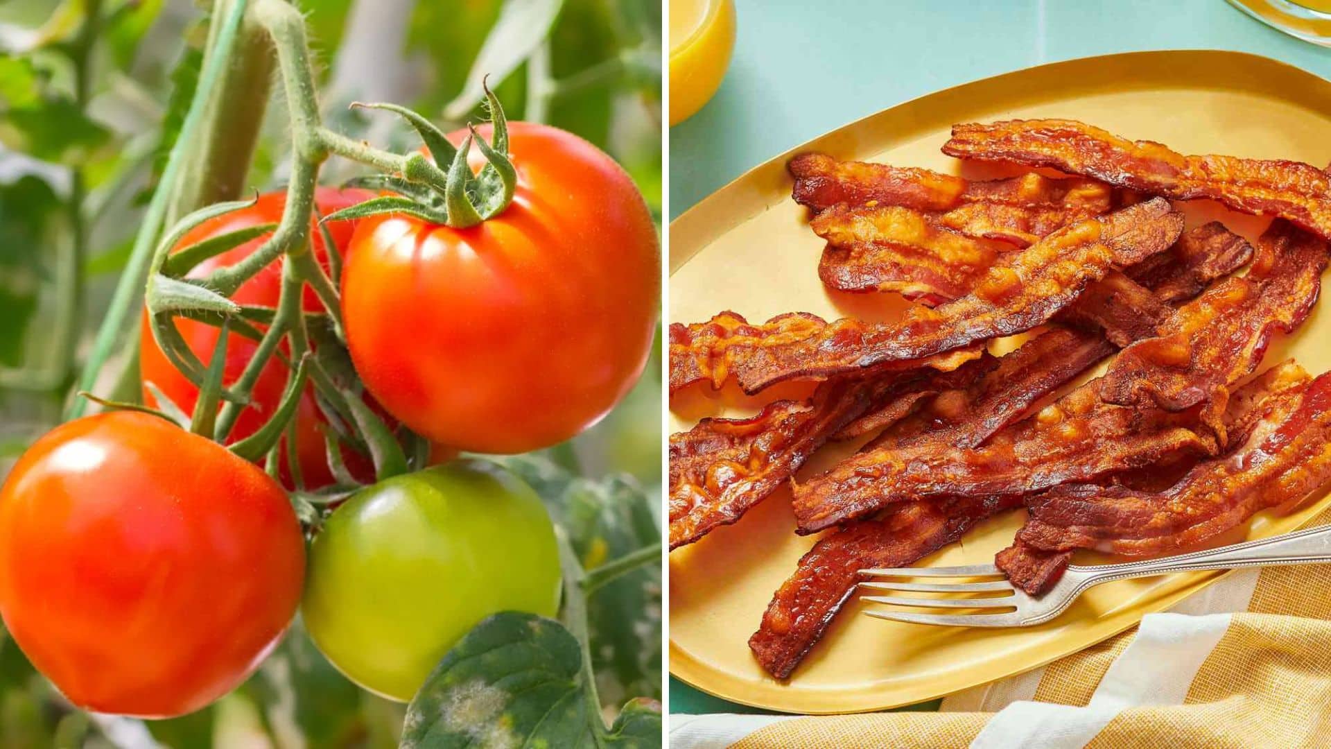 Tasty foods that were once controversial