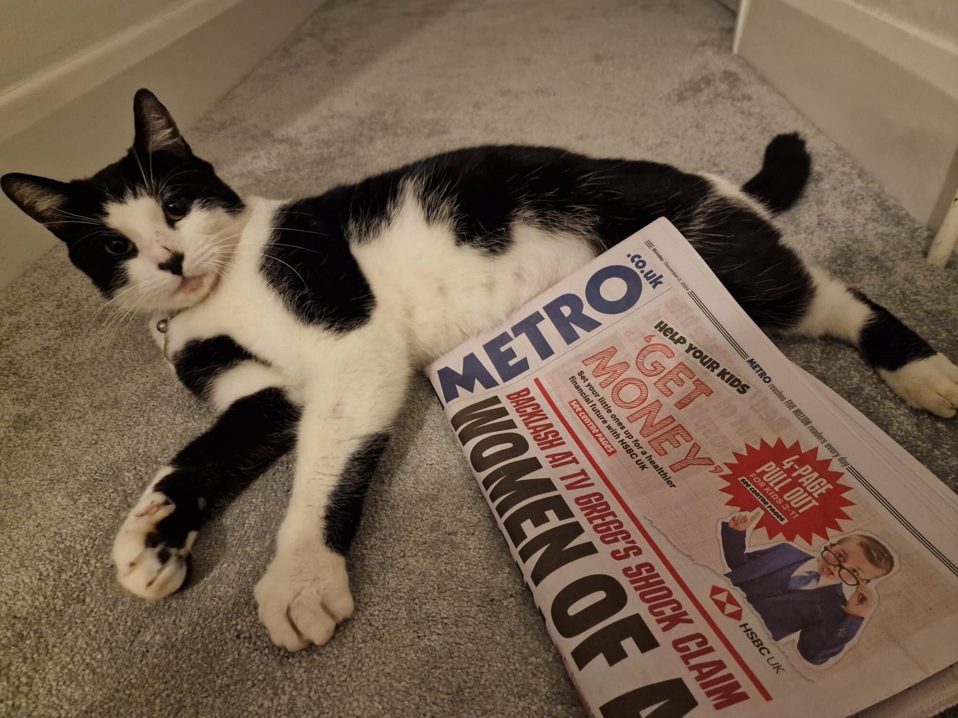 Beloved Metro cat missing after being snatched by woman at train station