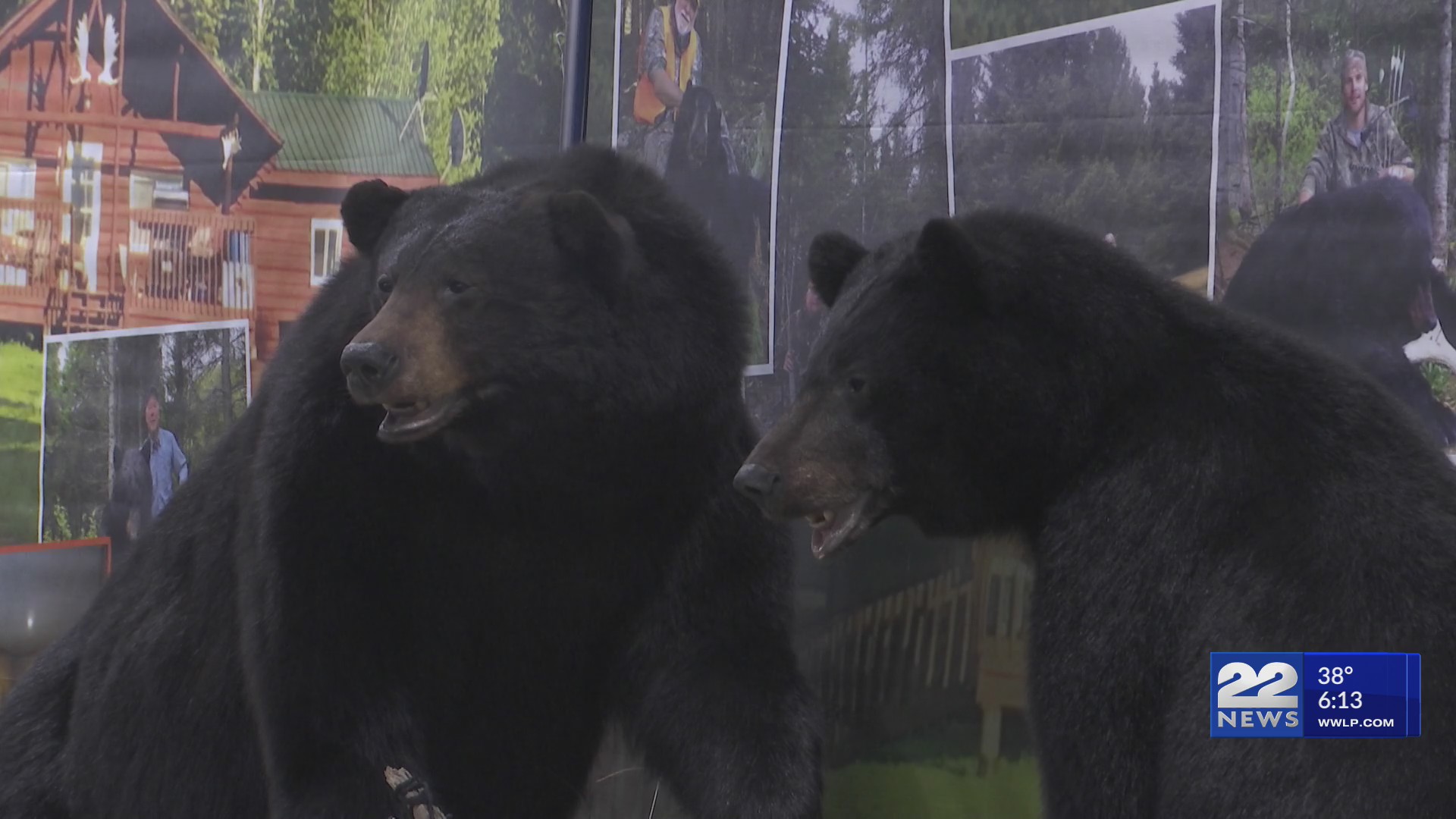 Annual Springfield Sportsmen Show draws crowds