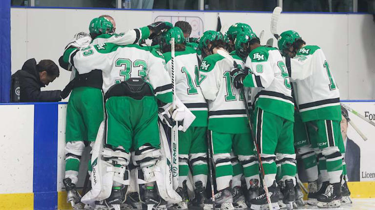Minnesota high school boys hockey 2026 section tournament brackets ...