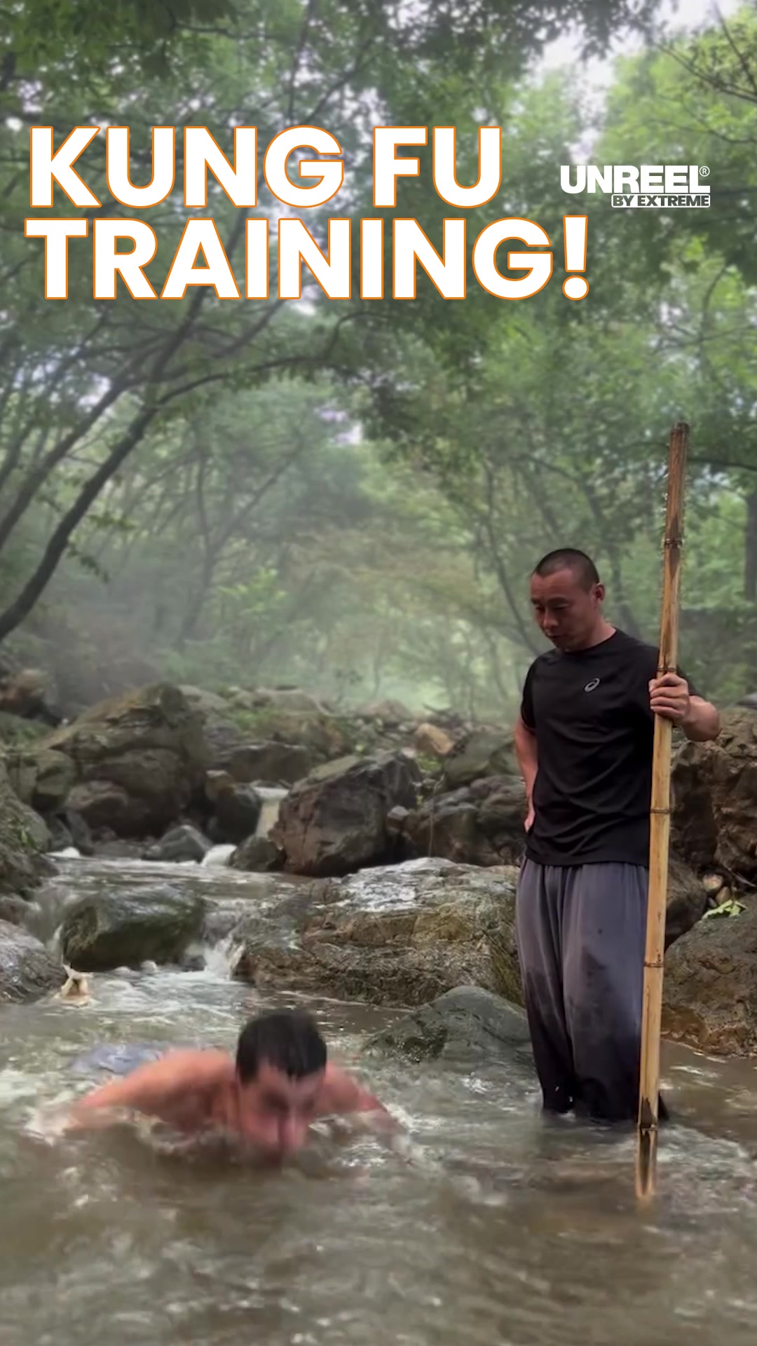 Unearthing kung fu mysteries: From misty Chinese forests to Swiss ...