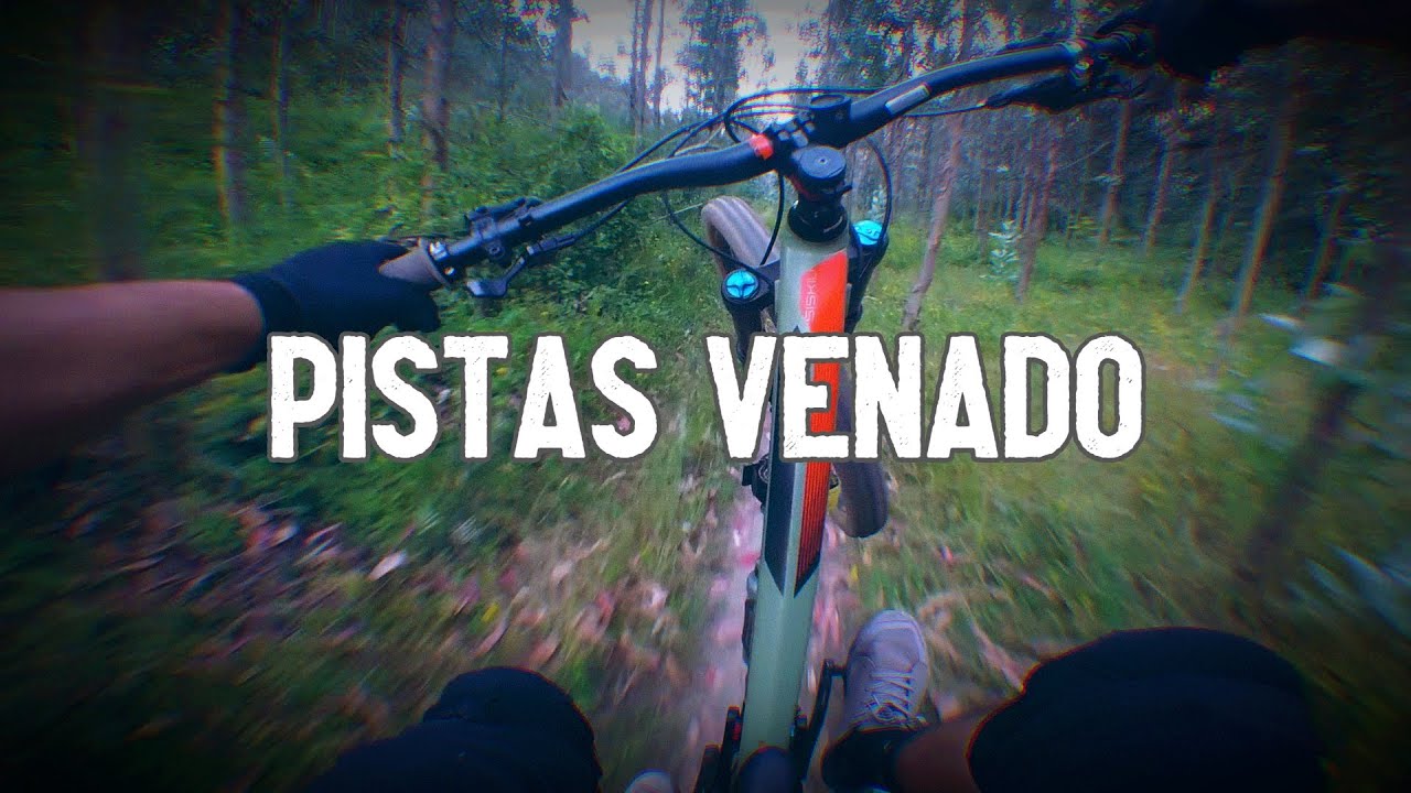 Venado Concepción: Las mejores pistas de enduro y downhill en el sur de ...