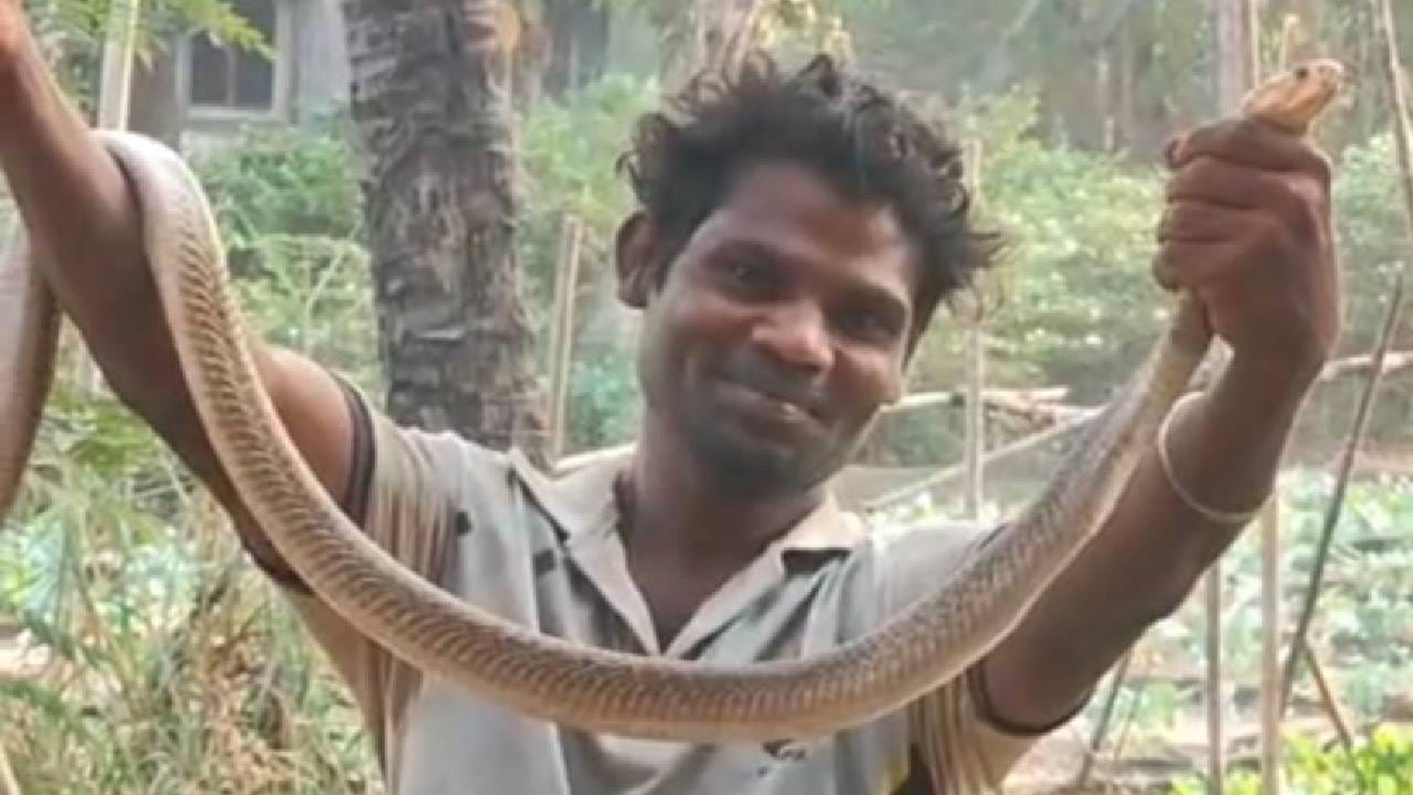 Mumbai: Intoxicated Virar man dies after viral snake stunt ends in ...