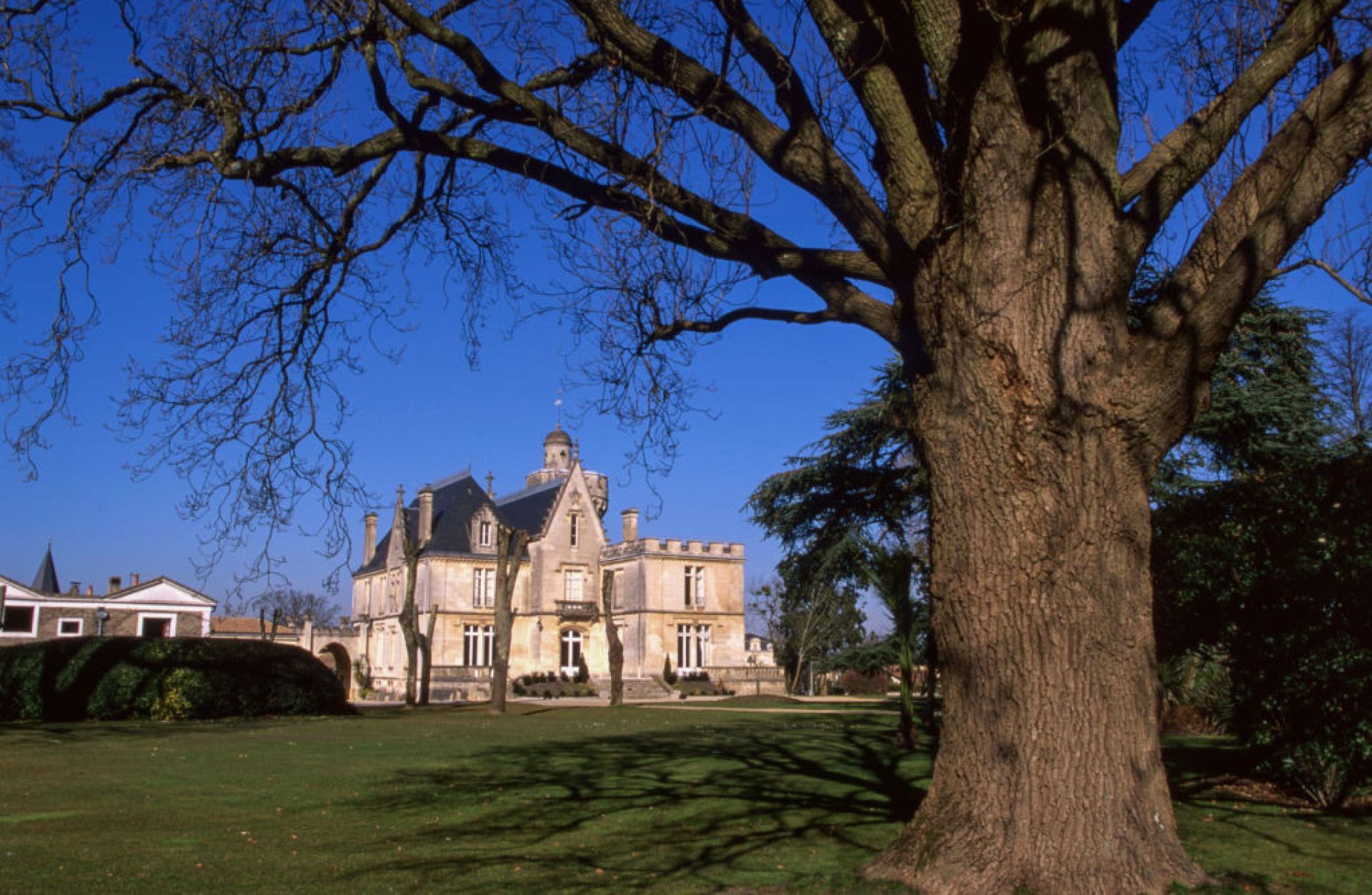 The world’s best vineyards, ranked