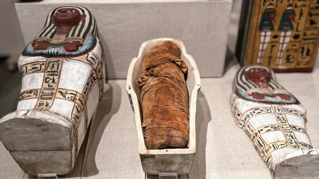 Scientists unearth 7,000-year-old mummies with DNA that doesn’t match ...