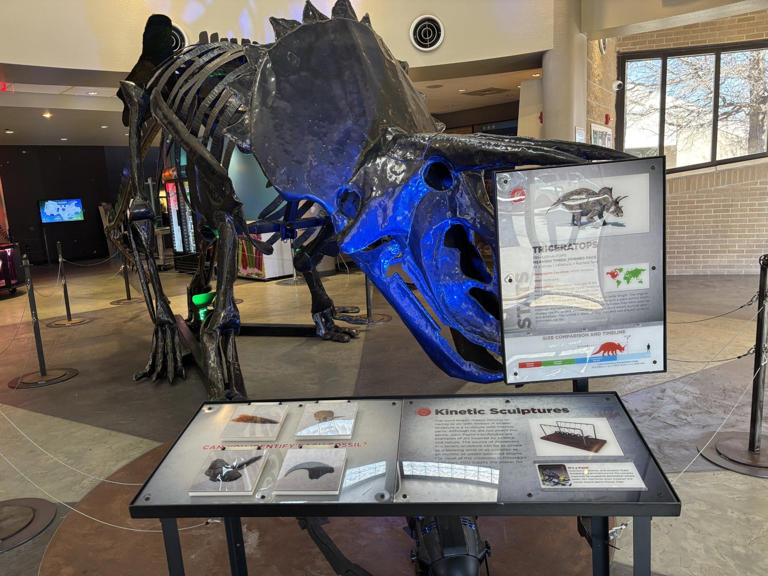 Interactive dinosaur exhibit brings STEAM to life at Discovery Center