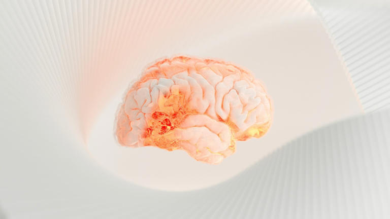 How to train your brain for optimal longevity