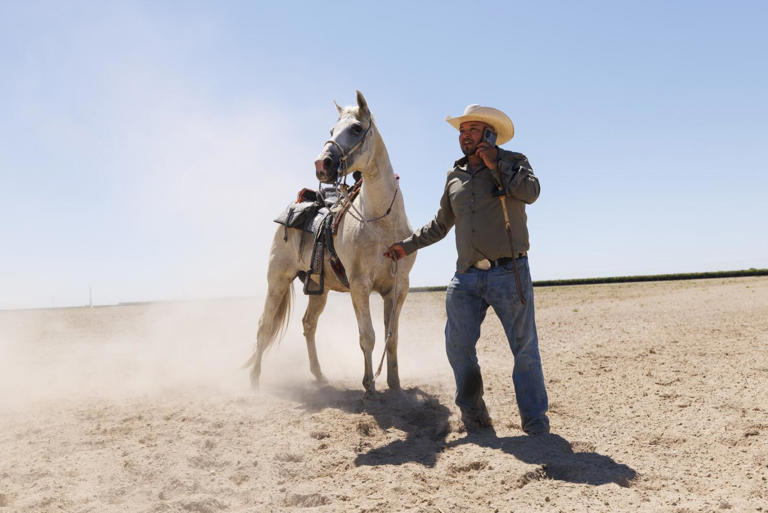 Rubio credited Spain for the origins of the American cowboy. Mexico ...