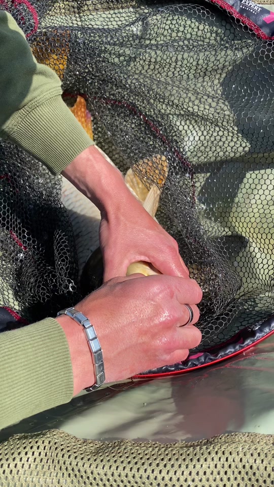 Fishing like a pro | Best carp rigs & jaw-dropping catches