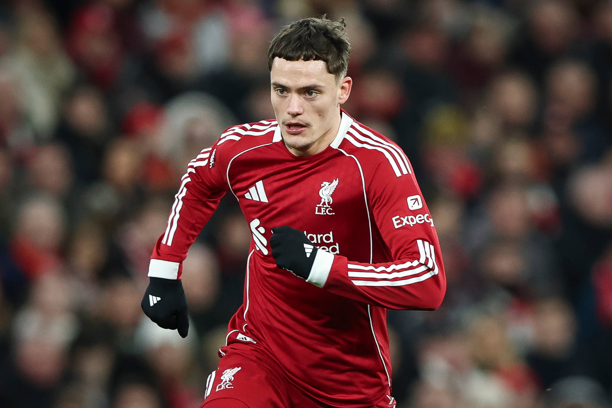 Nottingham Forest vs Fenerbahce: Tricky Trees a positive home result ...