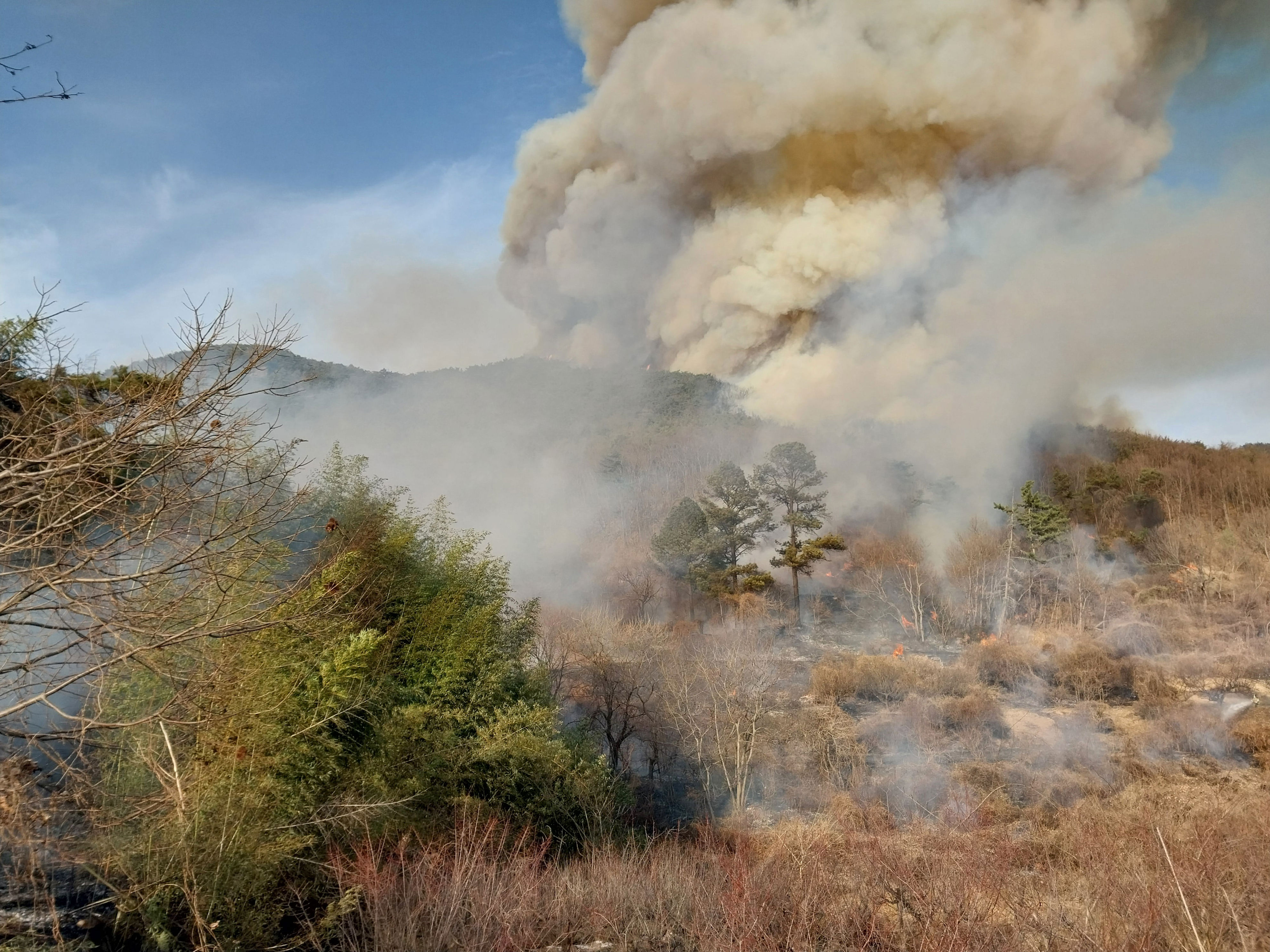 Wildfire in Miryang prompts national firefighting mobilization order