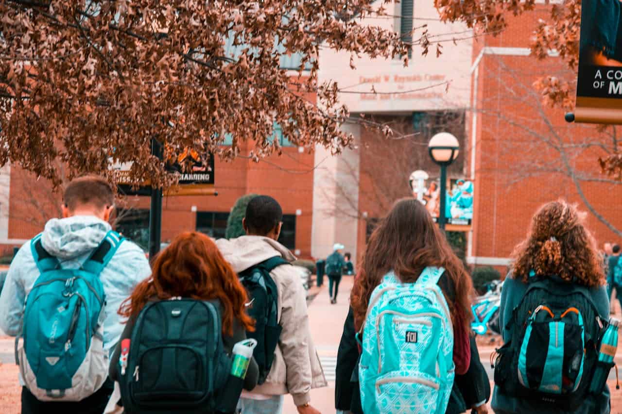 Why the graduate crisis isn't just about universities: 12 hidden causes