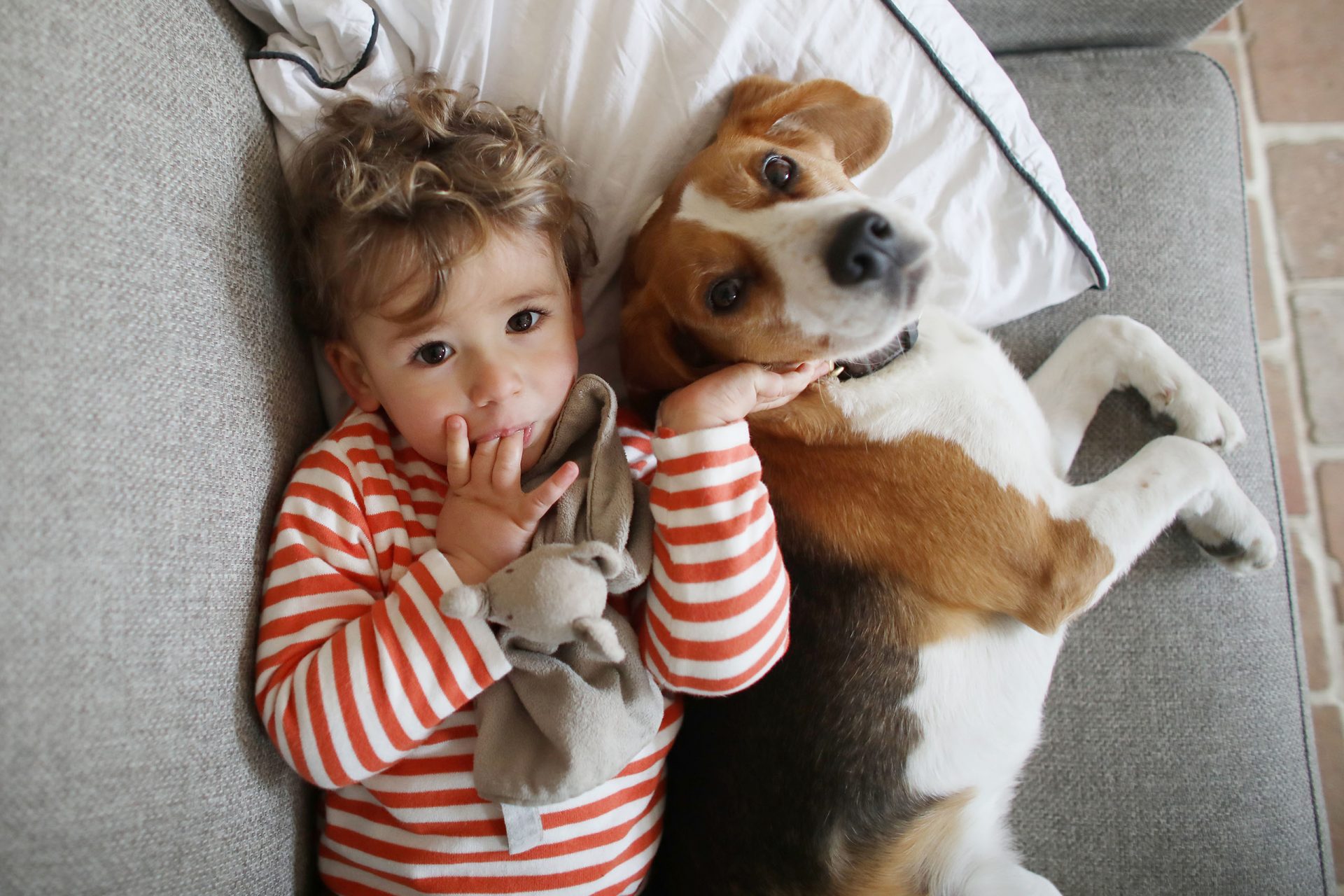 Nations where the pet population has surpassed that of children