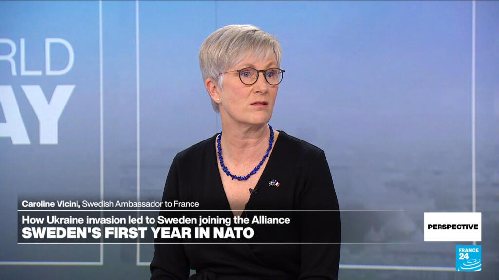 Sweden 'very happy to be members of NATO', Swedish ambassador to France ...